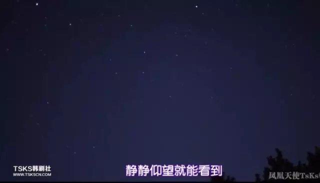 蓝大胆为何不建议养图标