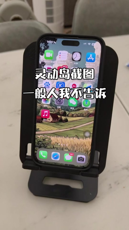 灵动岛怎么截图不显示截图