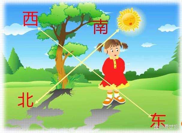 改变物体朝向的方法图标