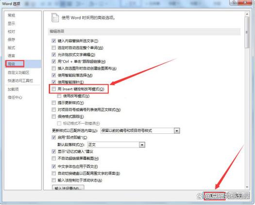 word文档字体删除不了图标