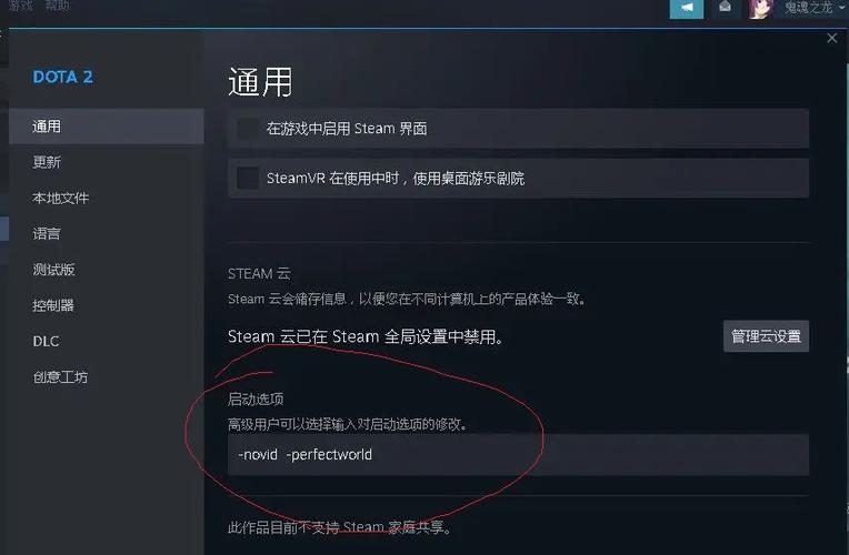 steamdota2国服设置截图