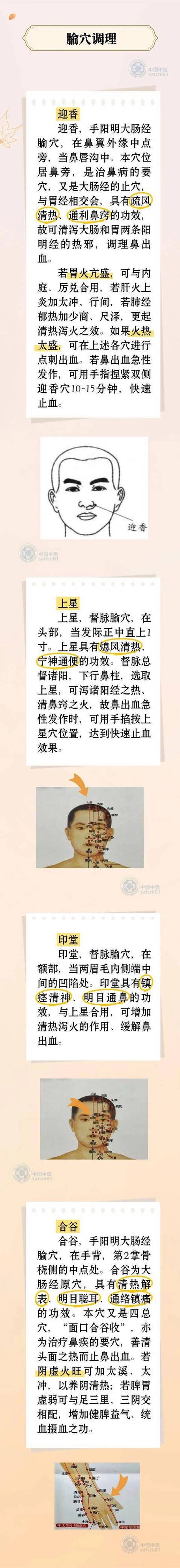 流鼻血按什么位置截图