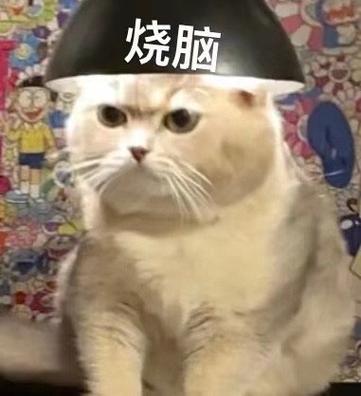 太烧脑了 表情包图标