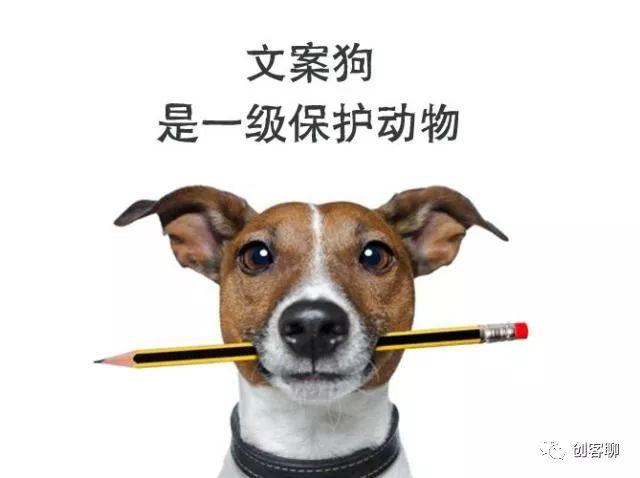 朋友圈卖狗的广告词图标