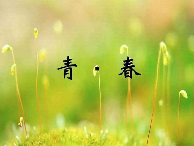 十八岁女生乳房多大算正常图标