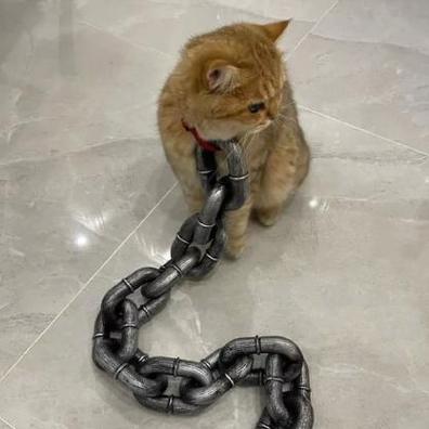绳子怎么绑猫图标