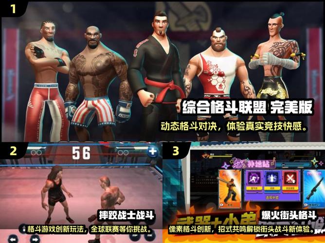 ufc格斗手游图标