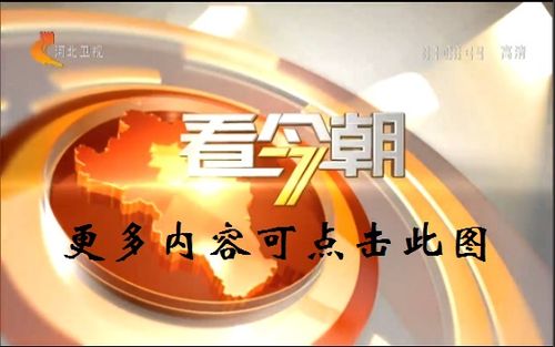 河北卫视节目表回放图标