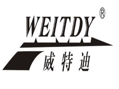 威特迪摄像头官网截图