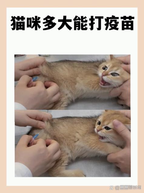 男生说打针的意思图标