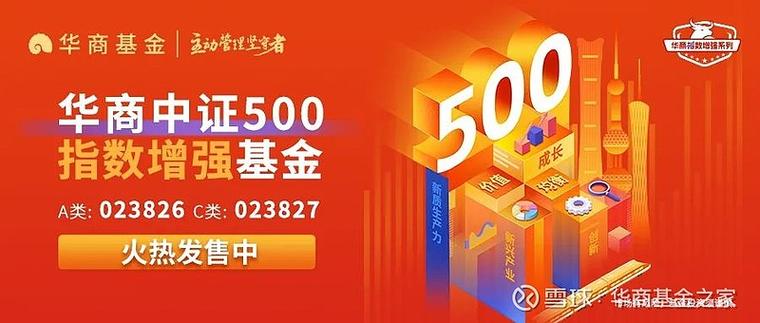 中证500最厉害三个基金图标