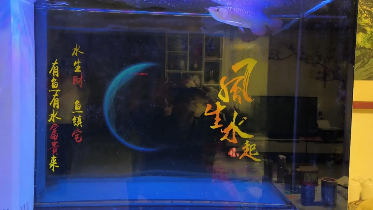 鱼缸背景纸怎么撕下来图标