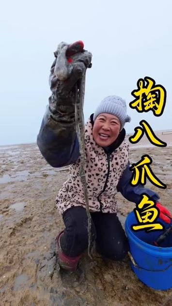 赶海如何找八爪鱼洞图标