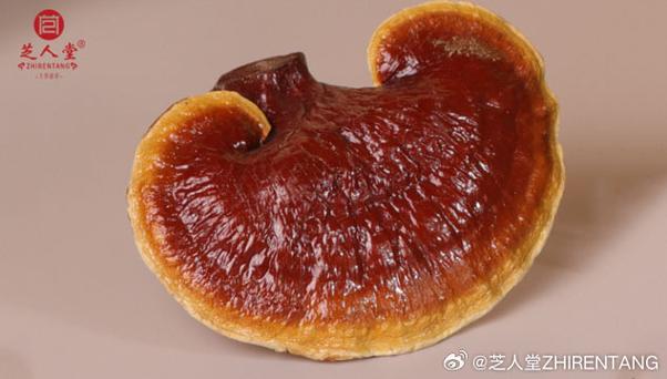 什么叫灵芝截图