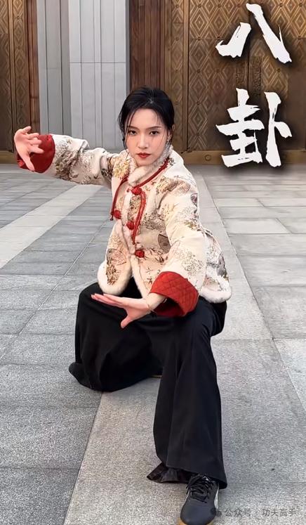 刘敬儒游身连环掌教学视频全部截图
