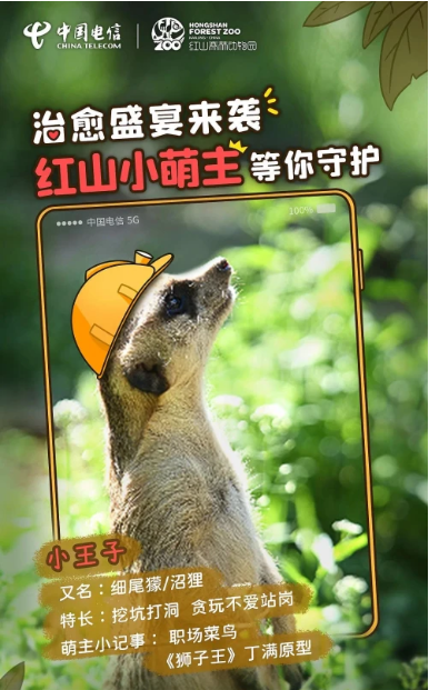 彩铃为什么不允许退订图标