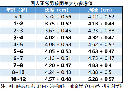 16岁男生正常长度图标