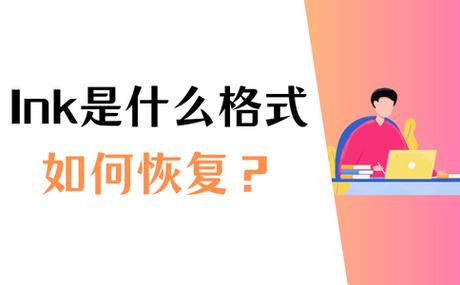 lnk是什么意思