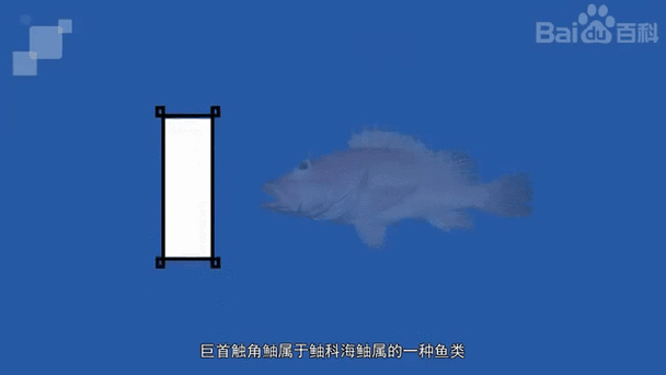 触角繁殖游戏玩法图标