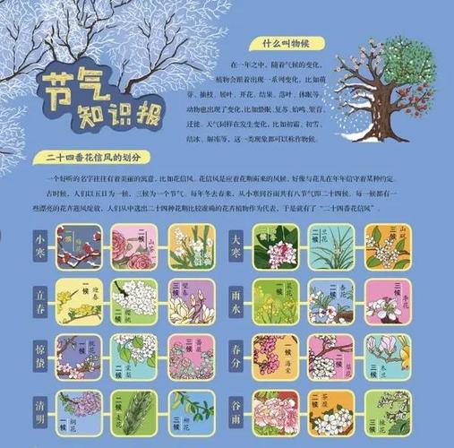 我们的二十四节气