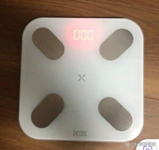 mini体重秤图标