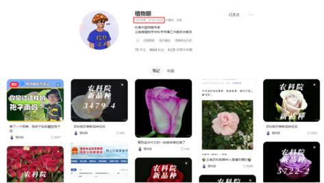 周周花花app更名图标