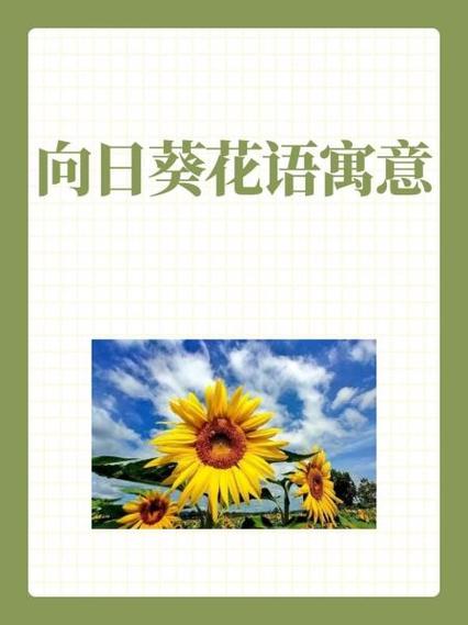 太阳花标志的衣服品牌图标