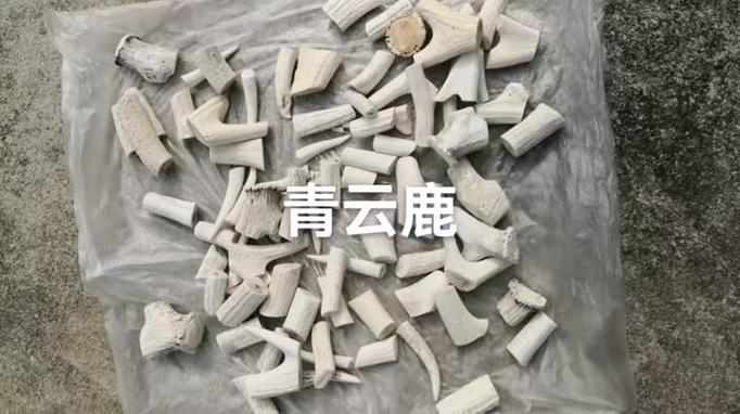鹿角胶和鹿胶有区别吗图标