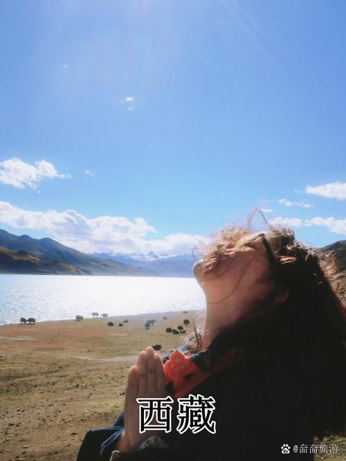 微信现在的拍一拍功能怎么没有了图标