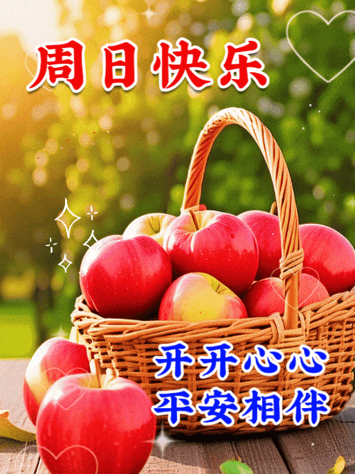 Ⅴv开心周末截图