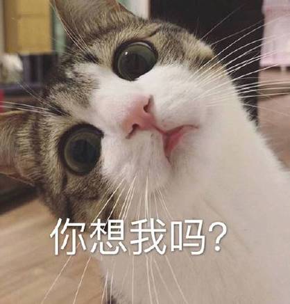 想我了吗表情包截图