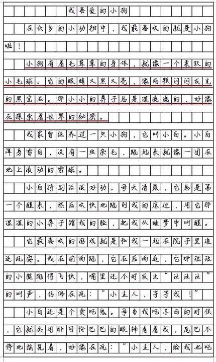 关于关爱动物的作文图标