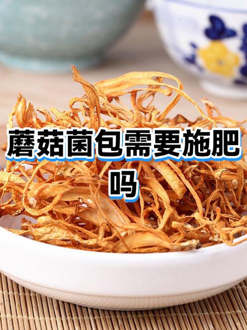 蘑菇农场怎么施肥图标
