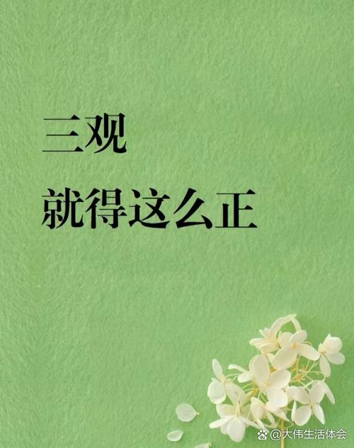 观透和直透图标