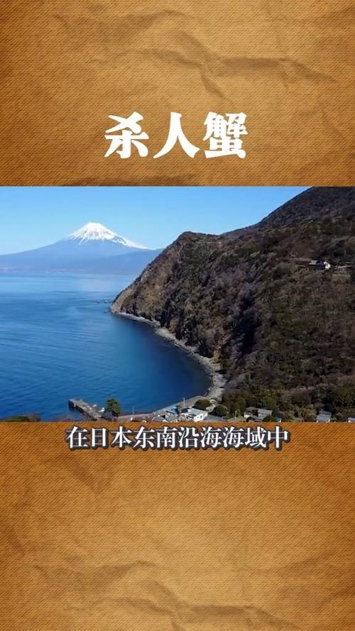 螃蟹战斗力排行图标