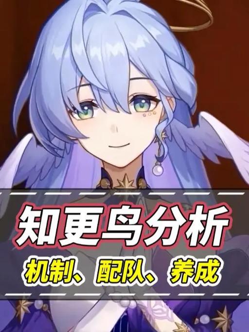 2026崩铁知更鸟怎么搭配