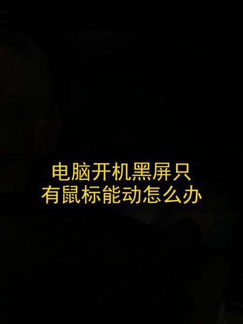 电脑一开机鼠标不能动截图