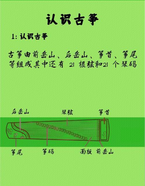 古筝入门零基础自学图标