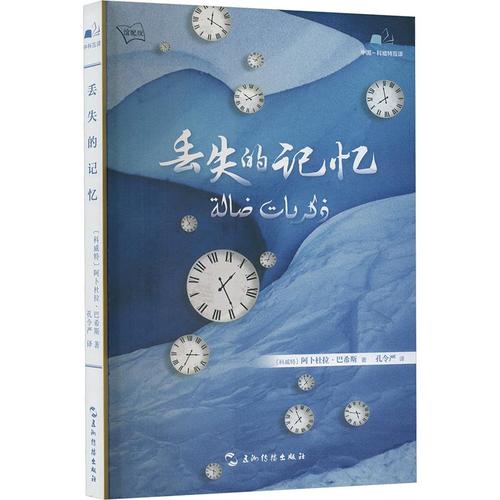 遗失的记忆打开不了图标