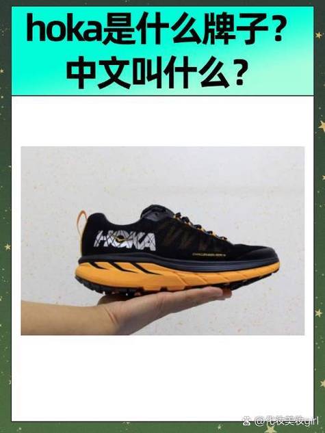hoka是什么品牌鞋截图