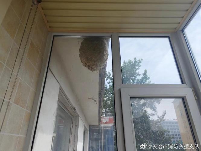马蜂窝几月份摘除最好图标