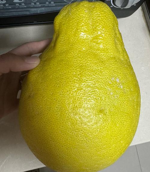 柚子联盟大联盟图标