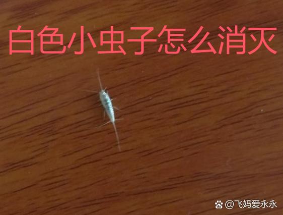 书里面的白色虫子图标
