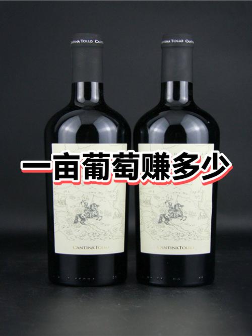 一亩葡萄一年能赚多少钱图标