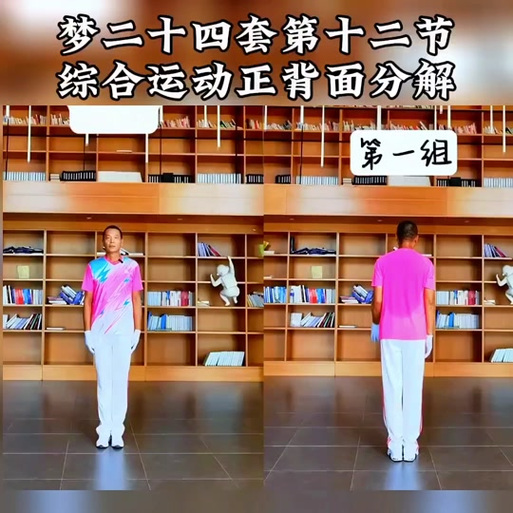 梦之队十二套示范图标