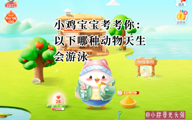 淘特小鸡在哪图标