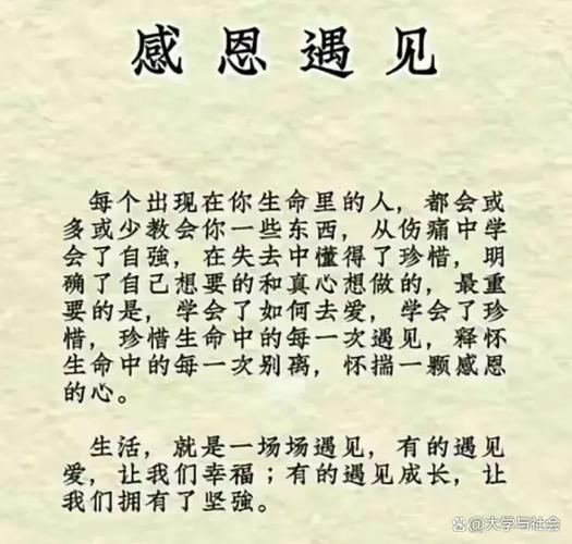 遇见最暖心八个字