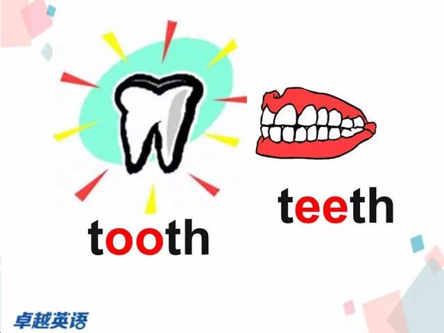 teeth和tooth的区别截图