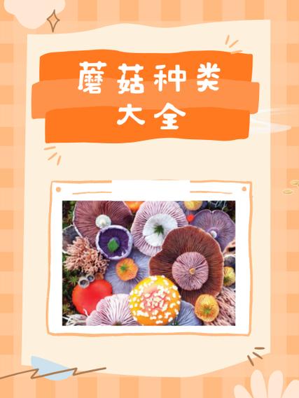 各种菌类图片及名称图标