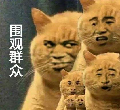 老大妈围观表情包图标